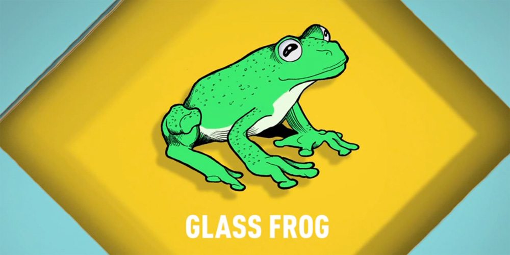 Songs for Unusual Creatures: The Glass Frog – GeekDad
