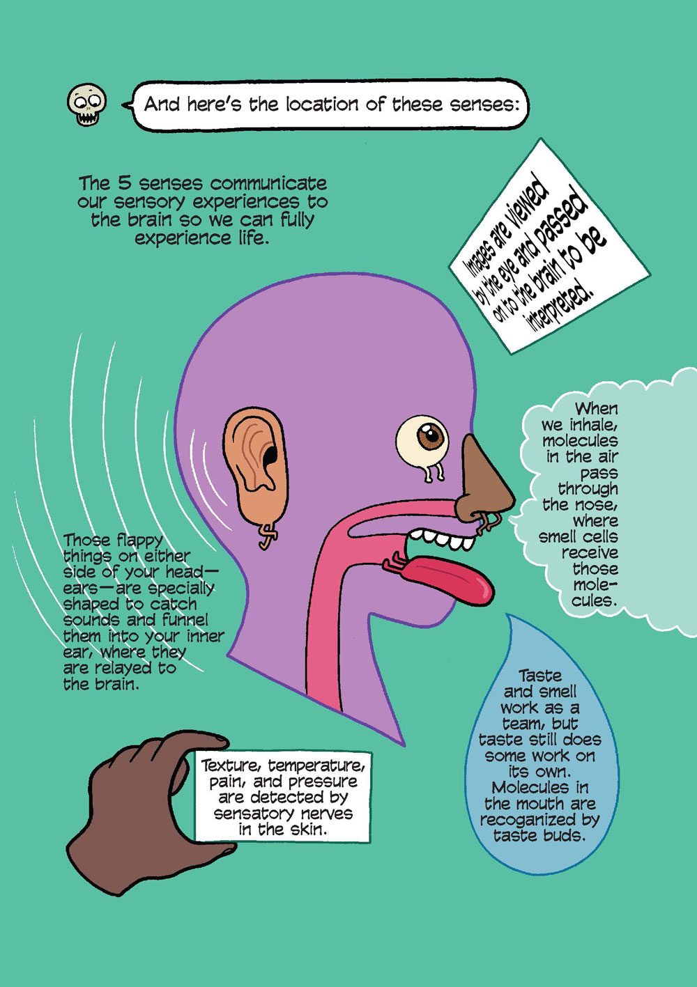 ‘Human Body Theater’: Review and Excerpt – GeekDad