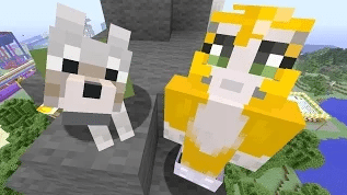 Helloooo! This is 'Stampy's Lovely Book' – GeekDad