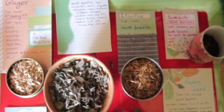 DIY Tea Blends With Kids – GeekDad