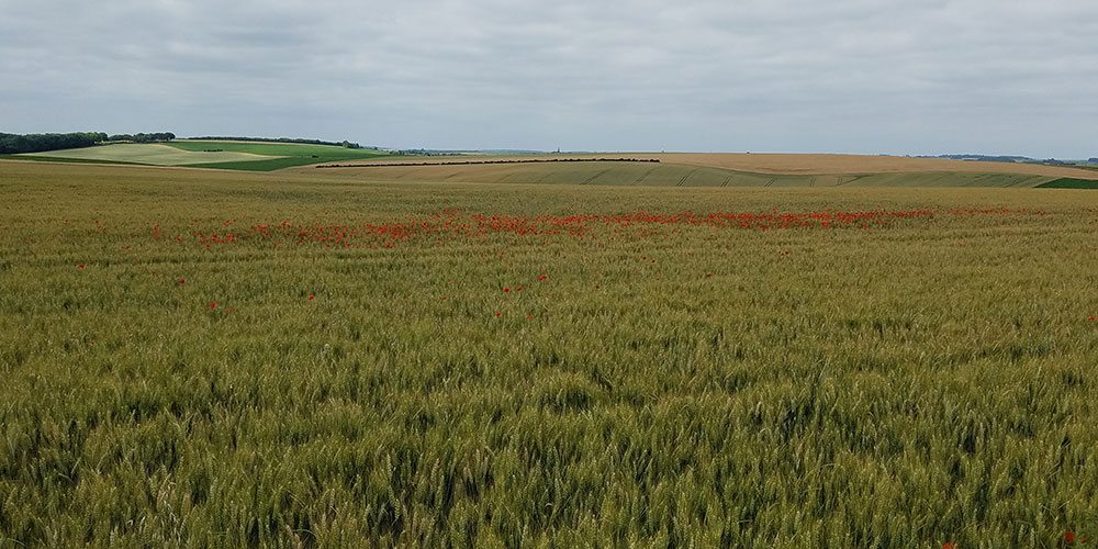 Experiencing History First-Hand: The Somme and Compiègne – GeekDad