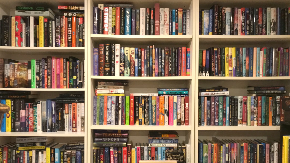 Stack Overflow: 2018 Year-End Reading Reflections – GeekDad