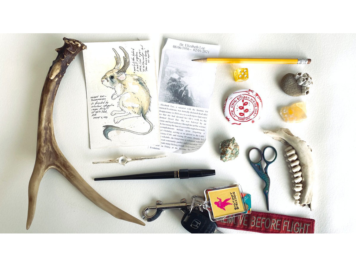 Kickstarter Tabletop Roundup – GeekDad