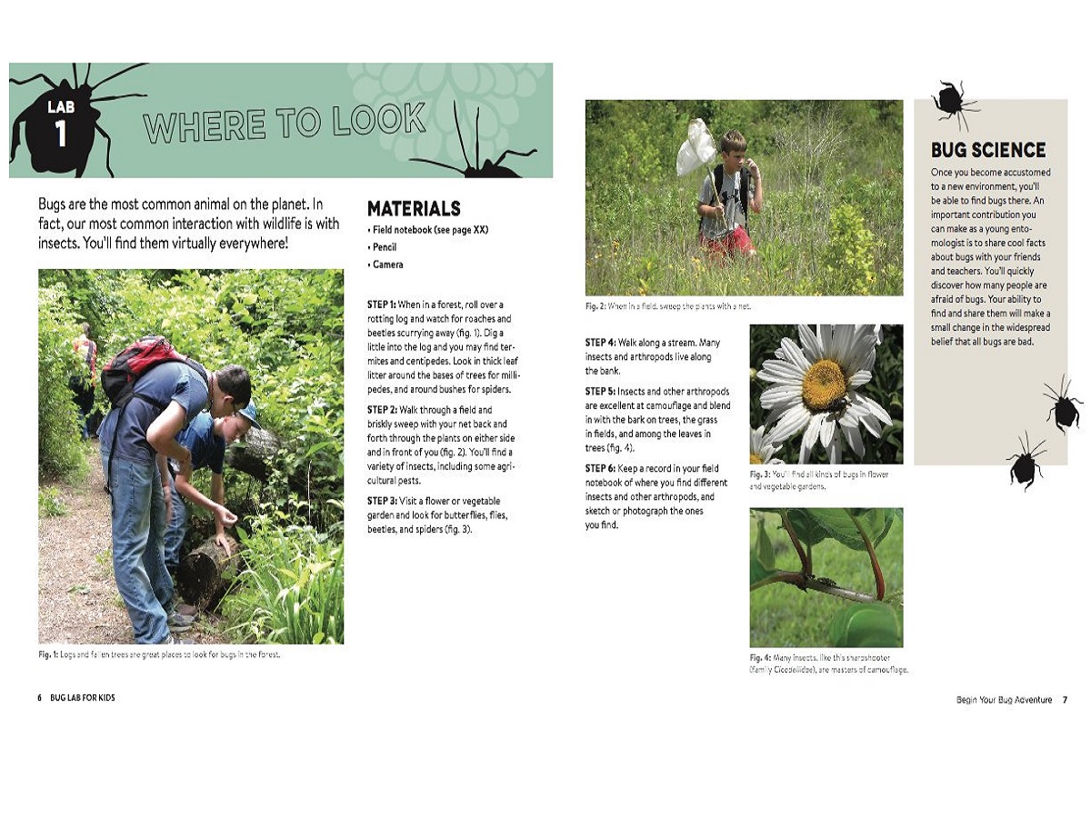 Review— ′Bug Lab for Kids′- Beetles, Butterflies, Spiders, Arthropods ...