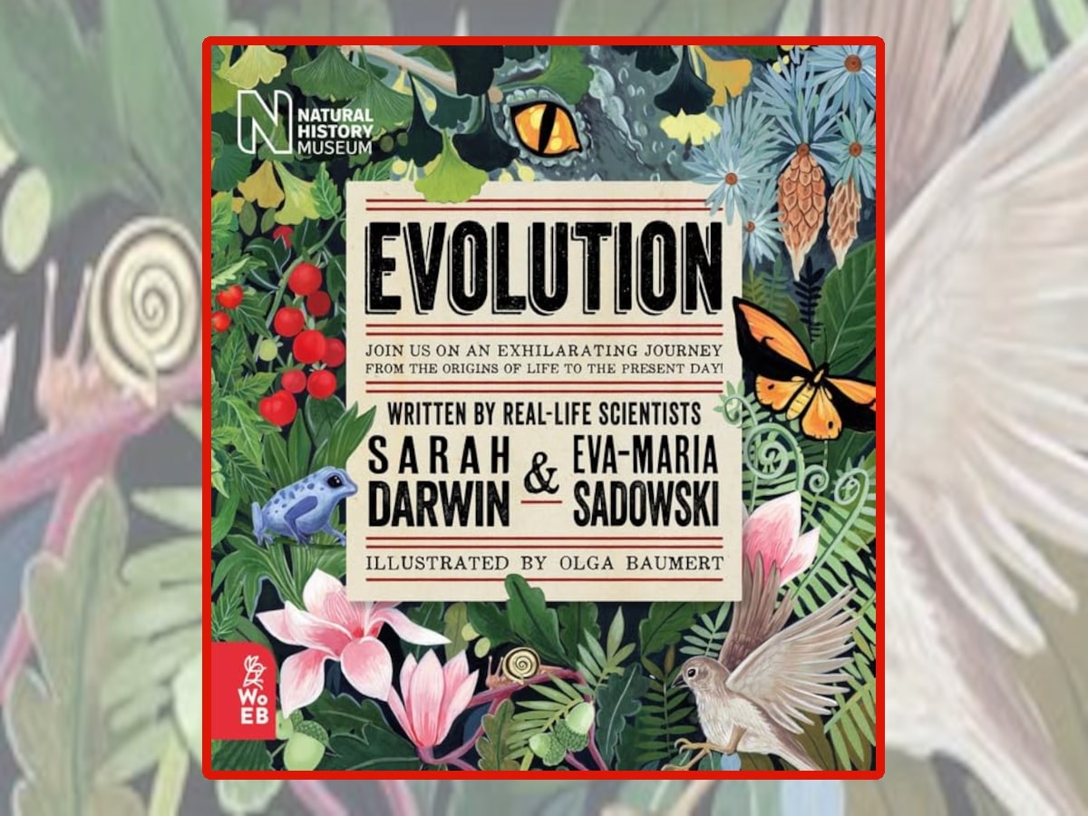 What on Earth: ‘Evolution’ — A Book Review – GeekDad