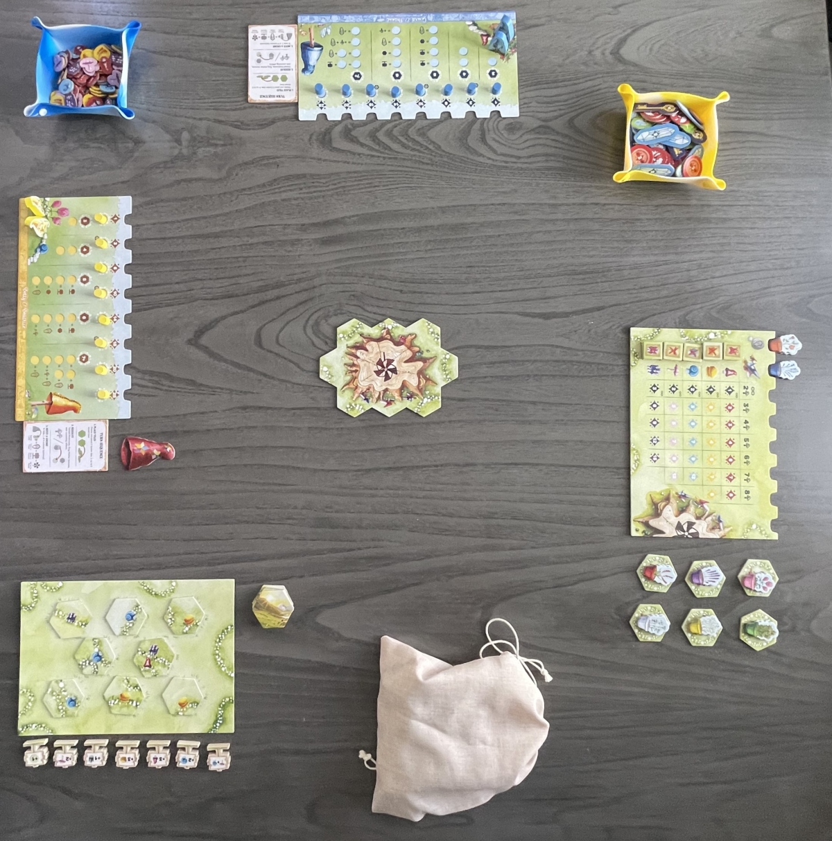 Gather Mushrooms and Wildflowers to Protect ‘Gnome Hollow’ – GeekDad