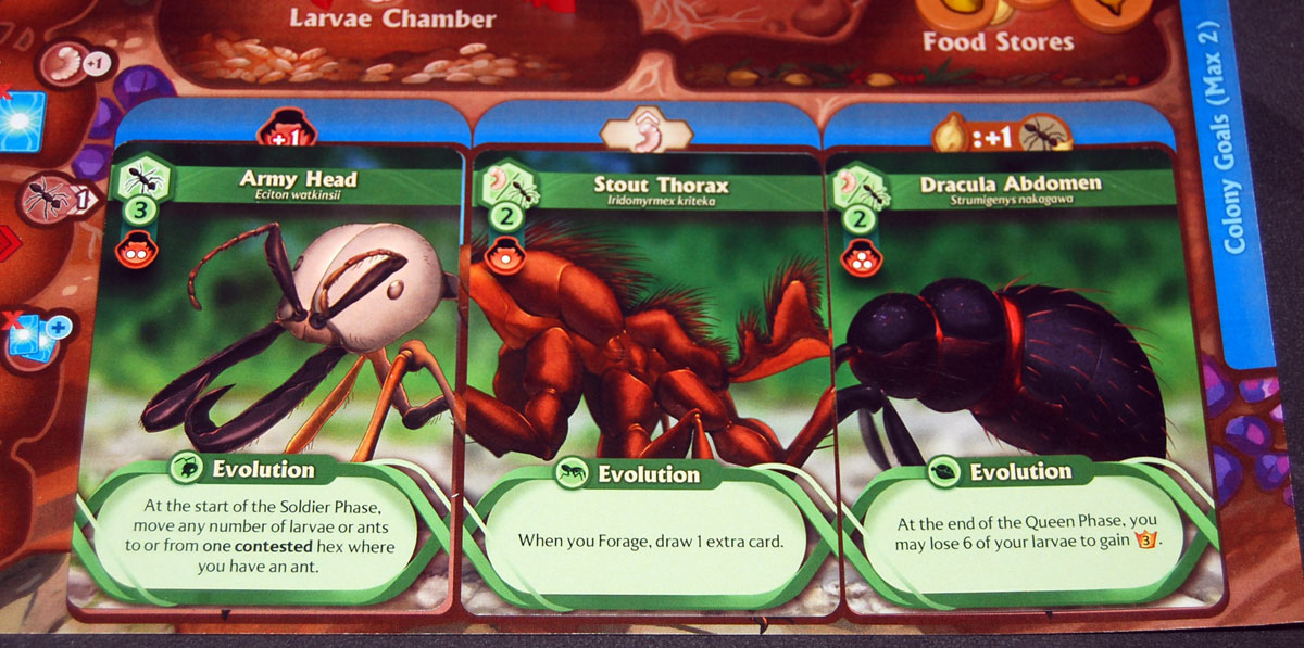 Kickstarter Tabletop Alert: ‘March of the Ants: Evolved Edition’ – GeekDad