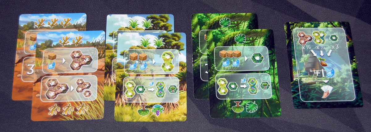 Kickstarter Tabletop Alert: ‘Rewild: South America’ – GeekDad