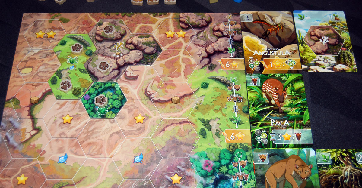 Kickstarter Tabletop Alert: ‘Rewild: South America’ – GeekDad